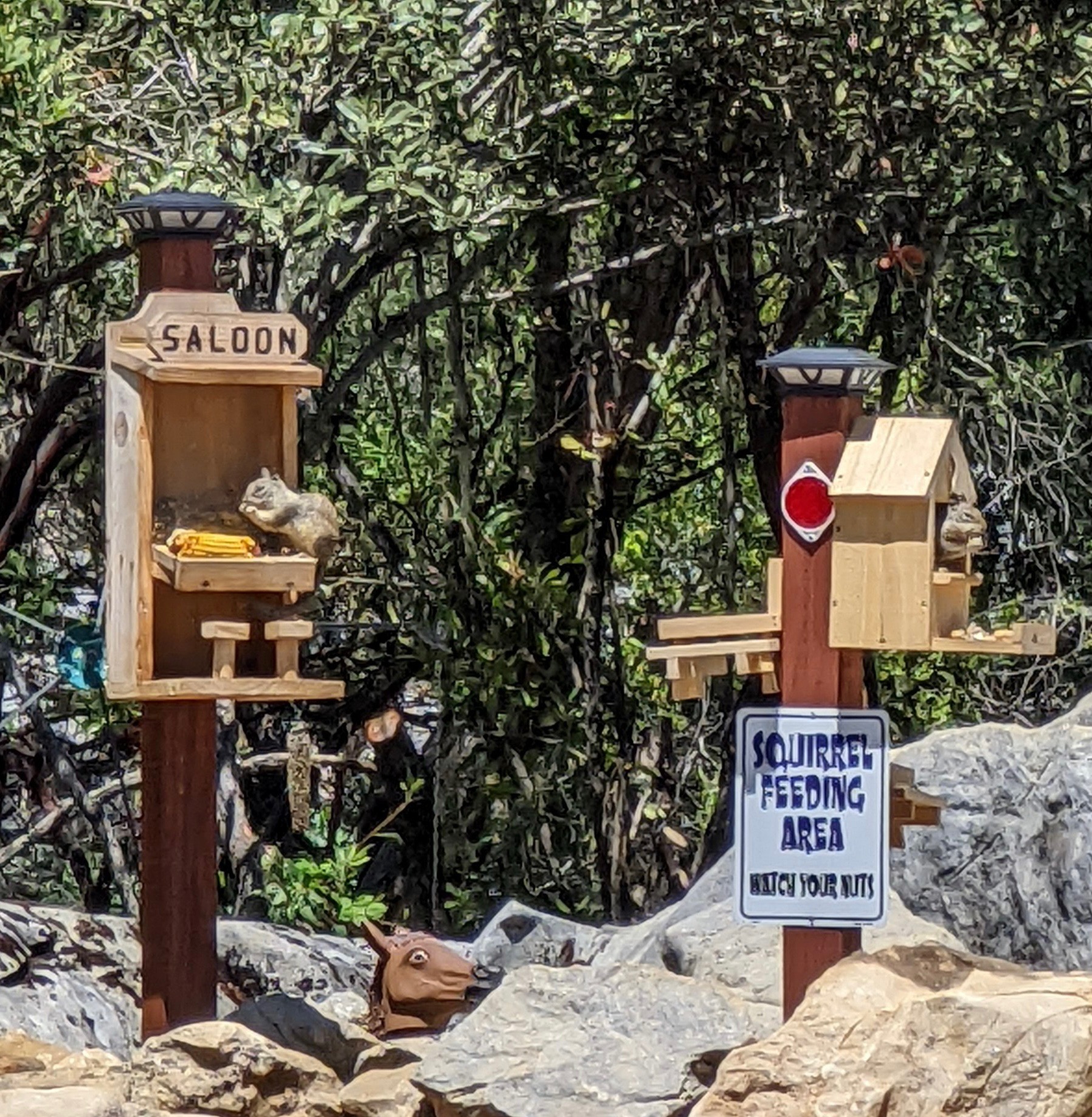 Squirrel Rock RV Campground – Columbia, CA – (Preview) – Squirrel Rock ...